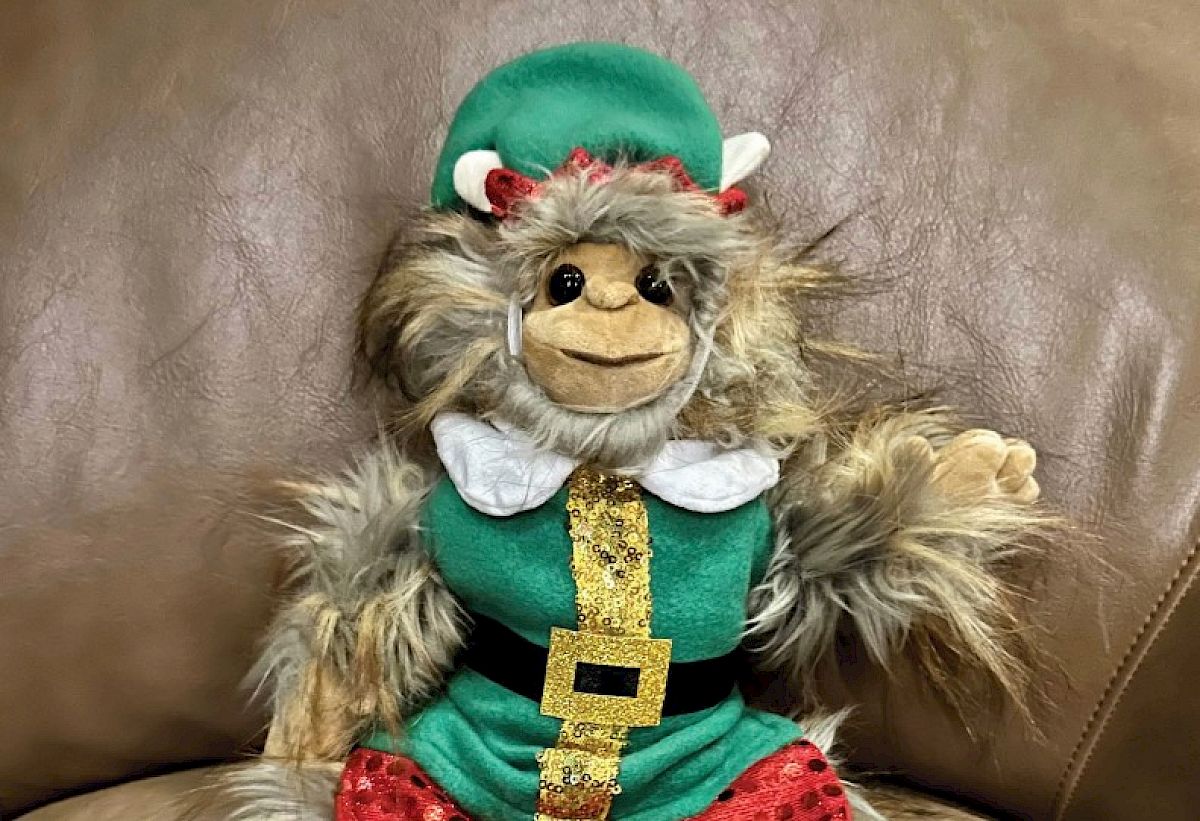 Search for Santa Scout