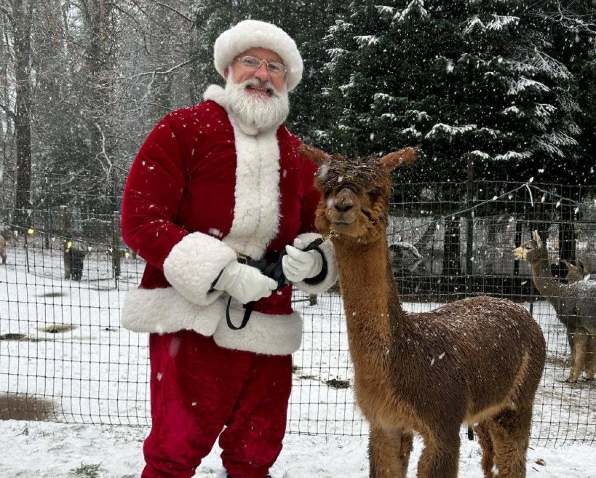 Christmas on the Farm